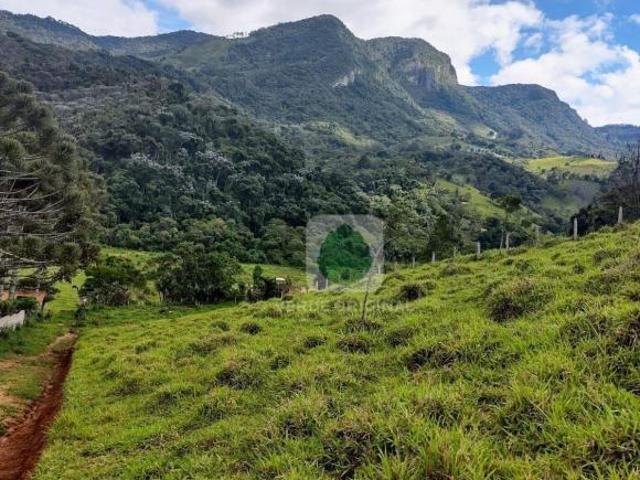 Terreno à venda, 2.293 m² por R$ 625.000 Paiol Grande São Bento do Sapucaí/SP