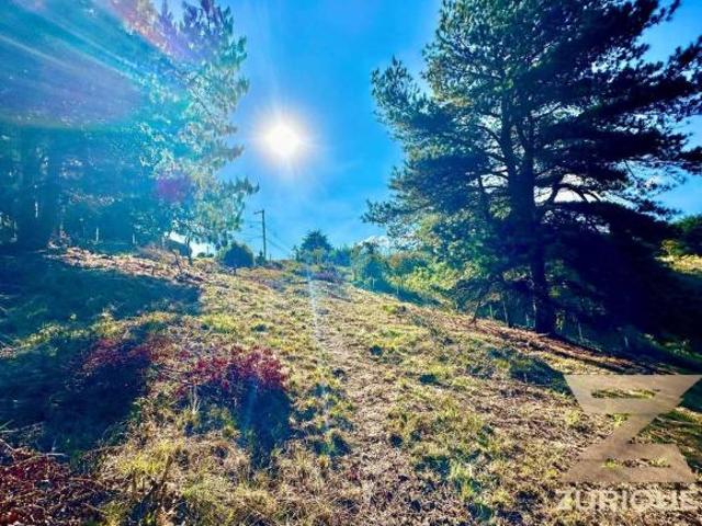 Terreno à venda, 2 m² por R$ 550.000 Passos da Mantiqueira Campos do Jordão/SP