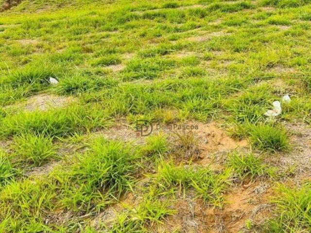 Terreno à venda, 304 m² por R$ 450.000,00 Condomínio Park Vista Real Indaiatuba/SP