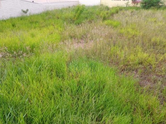 Terreno à venda, 306 m² por R$ 590.000,00 Jardim Paulista Valinhos/SP