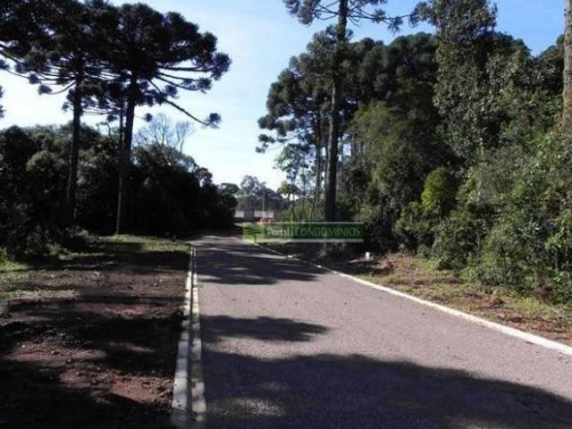 Terreno à venda, 3083 m² por R$ 1.509.000,00 Orleans Curitiba/PR