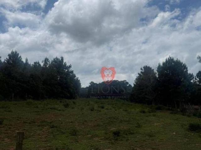 Terreno à venda, 3000 m² por R$ 299.000,00 Vila Imperial Gravataí/RS