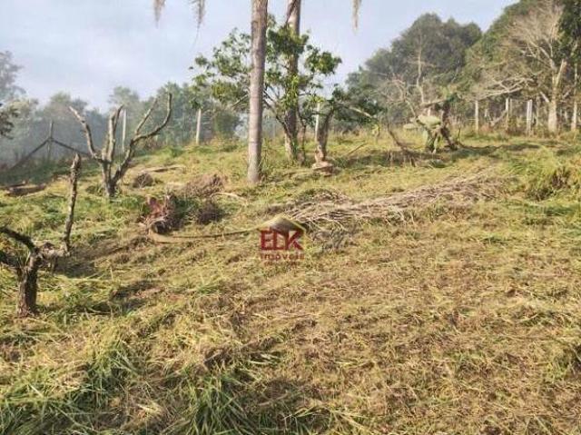 Terreno à venda, 3000 m² por R$ 318.000 Alto da Ponte São José dos Campos/SP