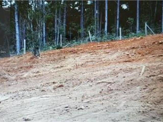 Terreno à venda, 3000 m² por R$ 335.000,00 Tarumã Viamão/RS