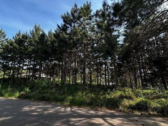 Terreno à venda, 3001 m² por R$ 850.000,00 Parque Das Nascentes Pinhais/PR