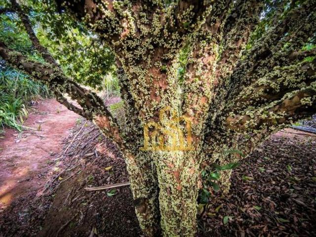 Terreno à venda, 300 m² por R$ 105.000,00 Jardim Maracanã Atibaia/SP