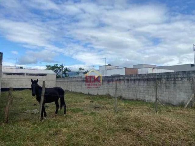 Terreno à venda, 300 m² por R$ 191.000 Balneário dos Golfinhos Caraguatatuba/SP