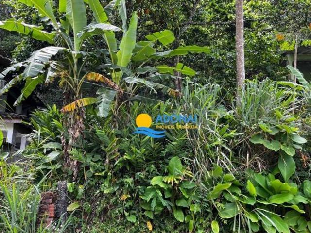 Terreno à venda, 300 m² por R$ 320.000,00 Balneário Praia do Pernambuco Guarujá/SP