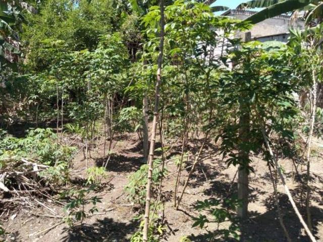 Terreno à venda, 300 m² por R$ 371.000,00 Cidade Aracilia Guarulhos/SP