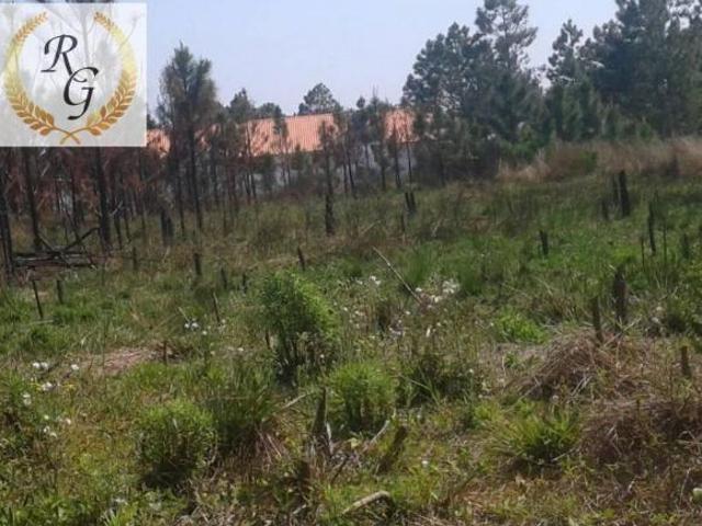 Terreno à venda, 300 m² por R$ 65.000,00 Centro Tramandaí/RS
