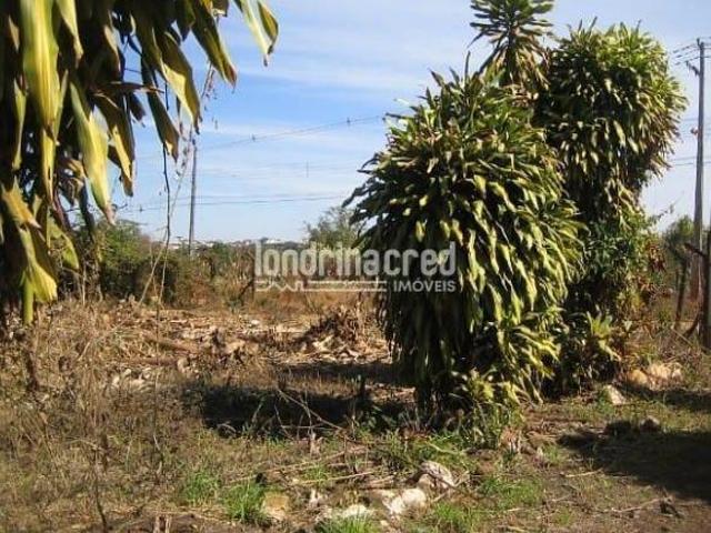 Terreno à venda 300M², Indústrias Leves, Londrina PR
