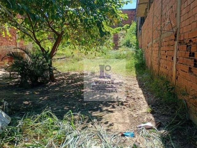 Terreno à venda, 302 m² por R$ 210.000,00 Jardim São José Campinas/SP
