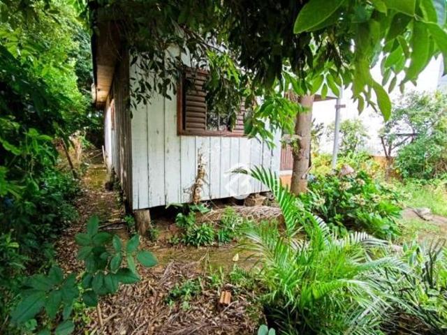 Terreno à venda, 302 m² por R$ 265.000,00 Feitoria São Leopoldo/RS