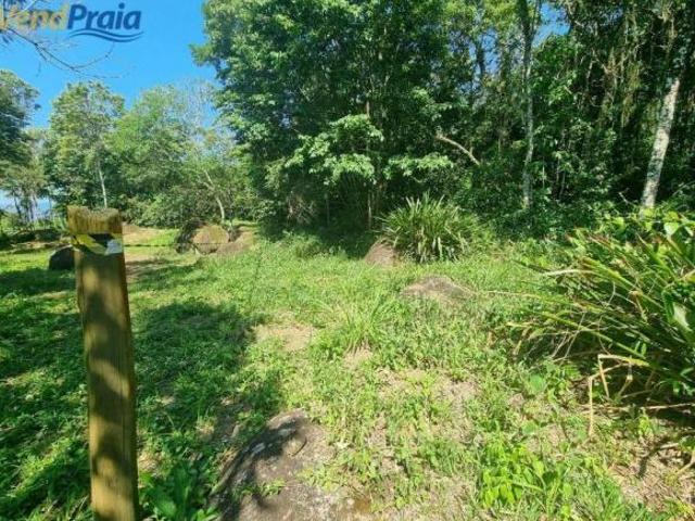 Terreno à venda, 3118 m² por R$ 1.500.000,00 São Pedro Ilhabela/SP