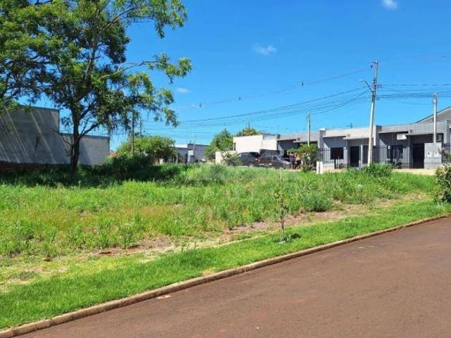 Terreno à venda, 325 m² por R$ 300.000,00 Loteamento Irio Holler Foz do Iguaçu/PR