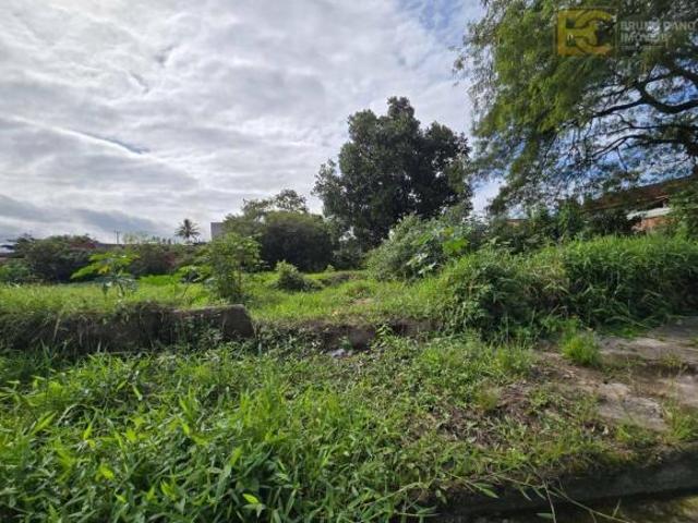 Terreno à venda, 320 m² Ribamar Peruíbe/SP