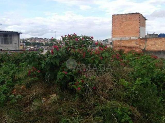 Terreno à venda, 322 m² por R$ 350.000,00 Parque Dom João Neri São Paulo/SP