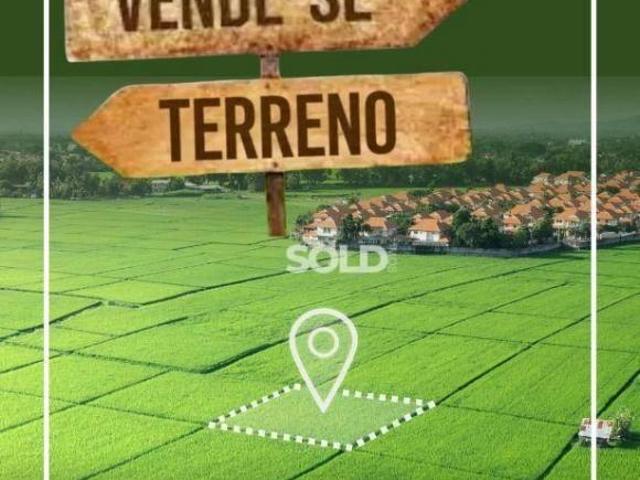 Terreno à venda, 335 m² por R$ 335.000 Residencial Irineu Zanetti Franca/SP