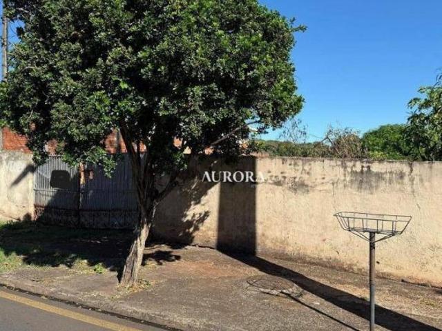 Terreno à venda, 339 m² por R$ 280.000,00 Vila São Caetano Londrina/PR