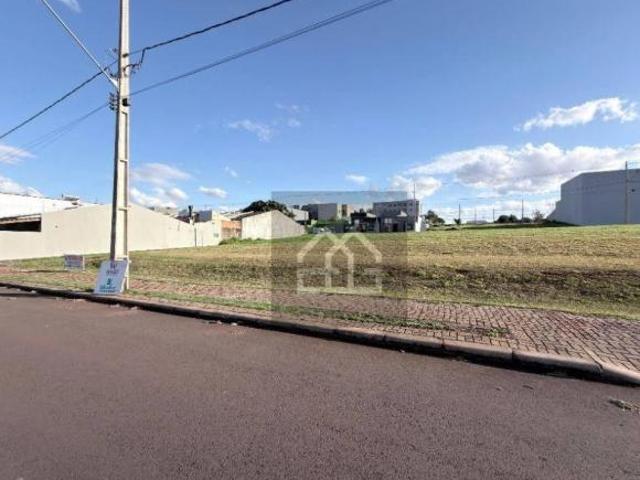 Terreno à venda, 330 m² por R$ 290.000 Piazza Tressoldi Cascavel/PR