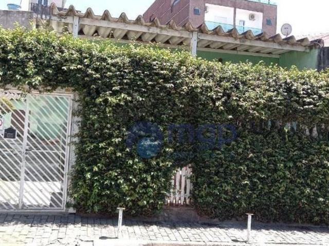 Terreno à venda, 333 m² por R$ 800.000,00 Vila Constança São Paulo/SP