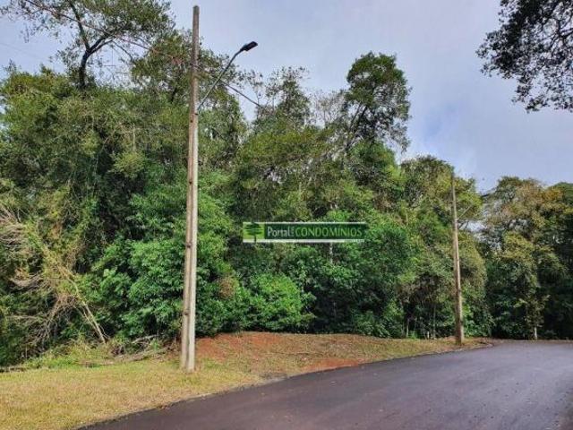 Terreno à venda, 3466 m² por R$ 1.300.000,00 Orleans Curitiba/PR