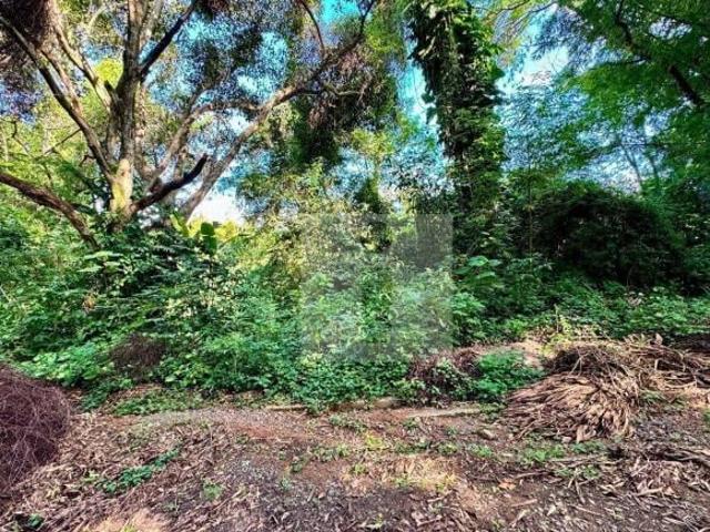Terreno à venda, 347 m² por R$ 347.000,00 Parque Jatibaia Sousas Campinas/SP