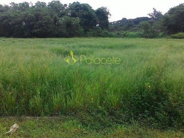 Terreno à venda 340M², Parque São Domingos, Pindamonhangaba SP