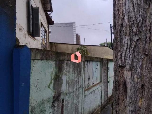 Terreno à venda, 342 m² Baeta Neves São Bernardo do Campo/SP