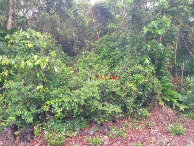 Terreno à venda, 342 m² por R$ 39.990,00 Porto do Ribeira Iguape/SP