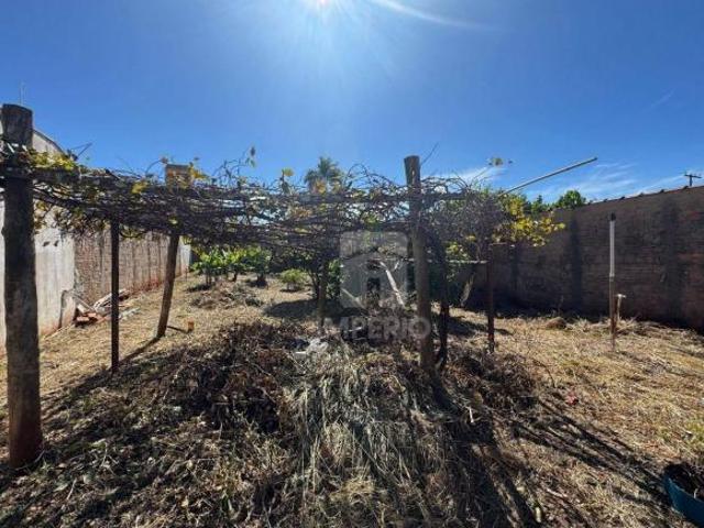 Terreno à venda, 354 m² por R$ 280.000,00 Jardim Maria Luiza II Jaú/SP