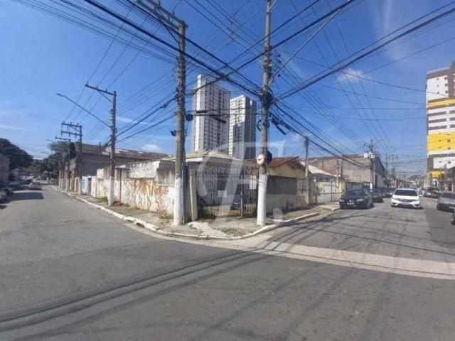 Terreno à venda, 350 m² por R$ 1.400.000,00 Vila Palmeiras São Paulo/SP