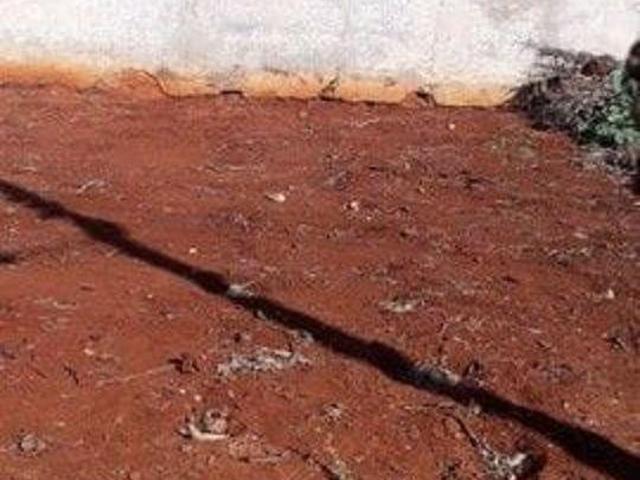 Terreno à venda, 350 m² por R$ 248.000,00 Califórnia Londrina/PR