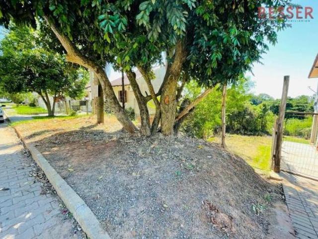 Terreno à venda, 350 m² por R$ 86.000,00 Campestre São Leopoldo/RS