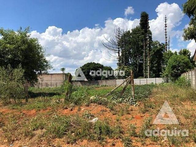 Terreno à venda 350M², Chapada, Ponta Grossa PR