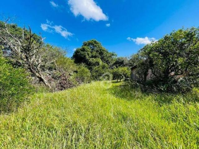 Terreno à venda, 352 m² por R$ 195.000,00 Ipiranga Sapucaia do Sul/RS