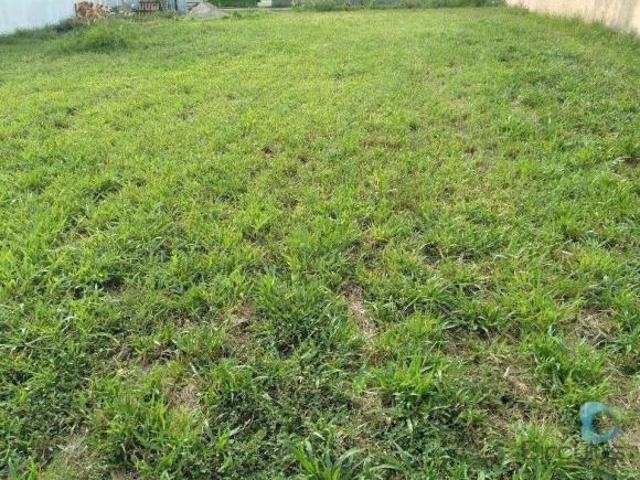 Terreno à venda, 353 m² por R$ 320.000,00 Jardim Vista Bella Ribeirão Preto/SP