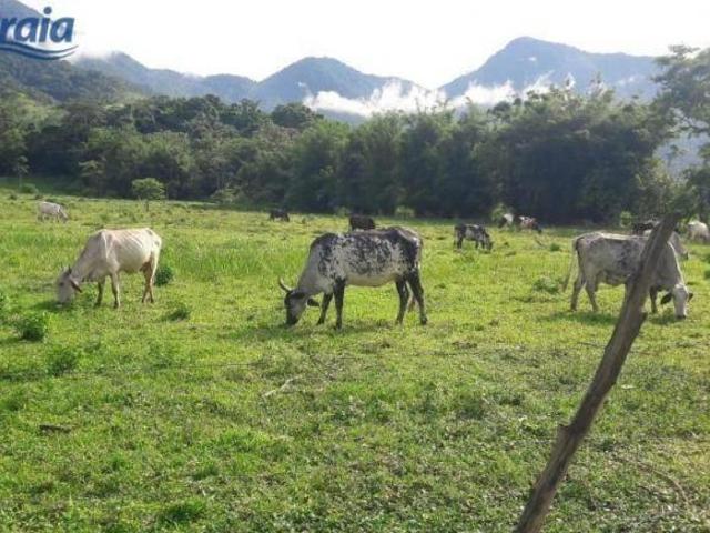 Terreno à venda, 36000 m² por R$ 10.000.000,00 Jaraguá Caraguatatuba/SP