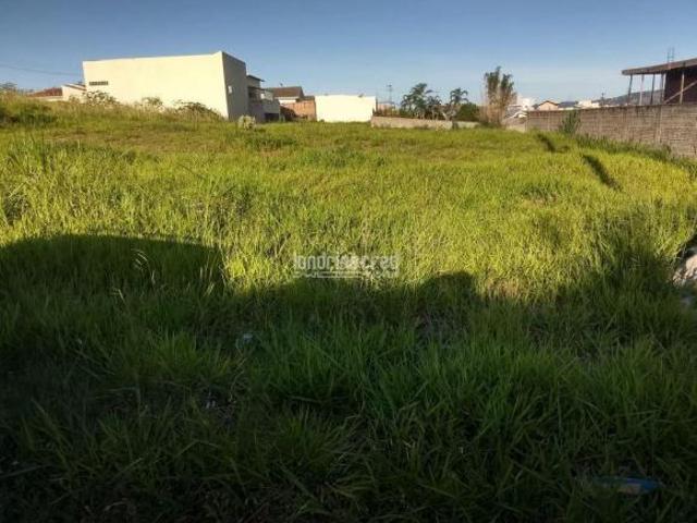 Terreno à venda 36000M², Centro, Jacarezinho PR