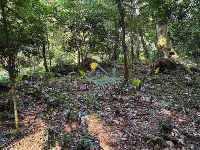 Terreno à venda, 3600 m² por R$ 800.000 T Grande São Sebastião/SP