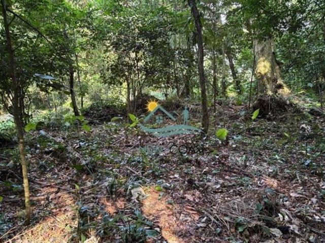 Terreno à venda, 3600 m² por R$ 800.000 T Grande São Sebastião/SP