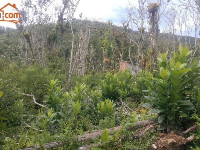 Terreno à venda, 360 m² por R$ 100.000,00 Praia do Itamambuca Ubatuba/SP