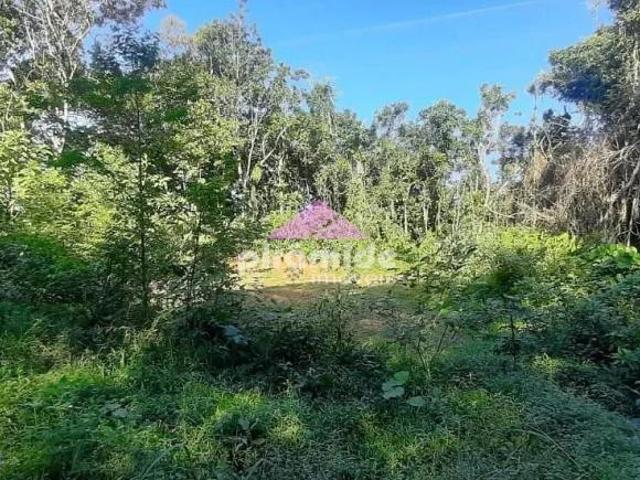 Terreno à venda, 360 m² por R$ 195.000,00 Condomínio Portal Patrimonium Massaguaçu Caraguatatu