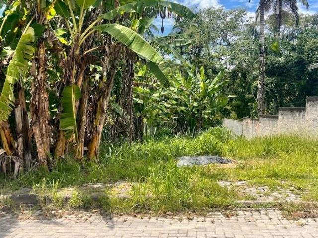 Terreno à venda, 360 m² por R$ 67.000,00 Itapema