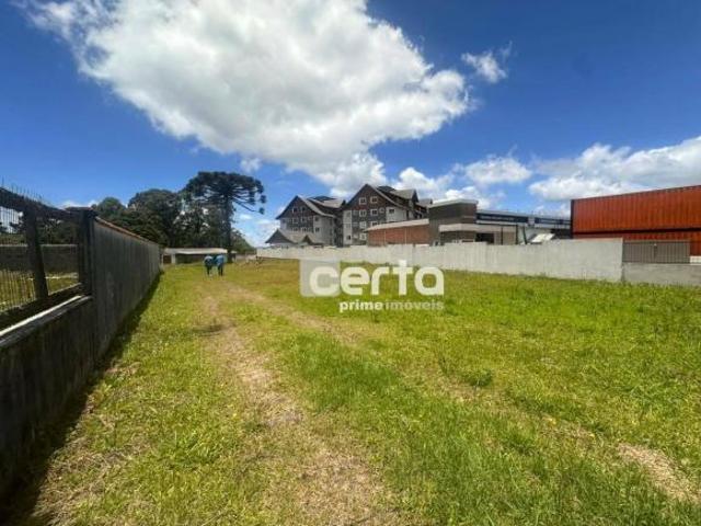 Terreno à venda, 3785 m² Canelinha Canela/RS