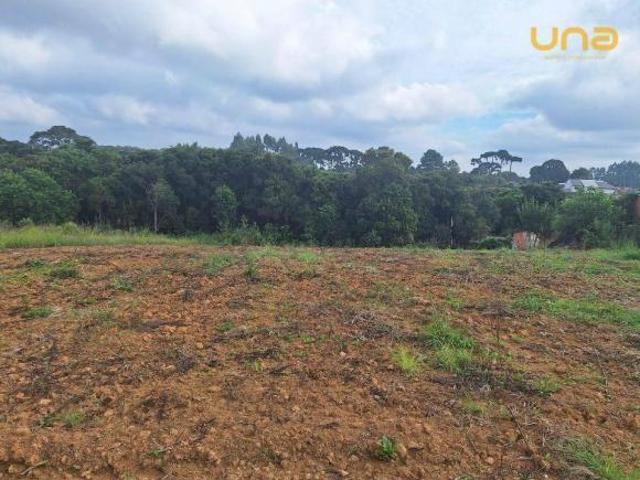 Terreno à venda, 3817 m² por R$ 540.000,00 Vila Brasila Mandirituba/PR