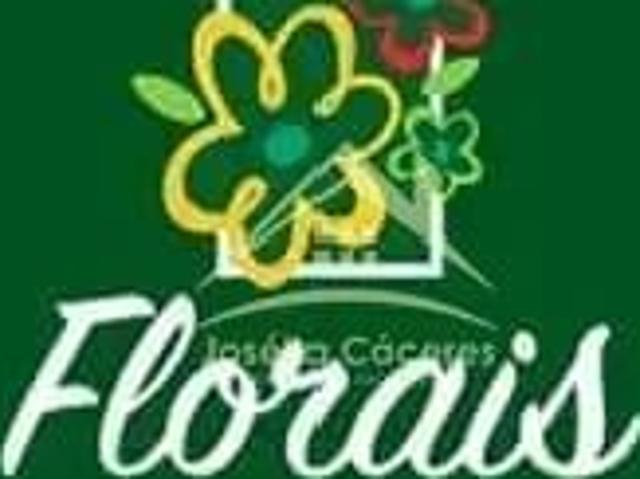 Terreno à venda 381M², Parque das Nações, Várzea Grande MT Condomínio Residencial Florais da Mata