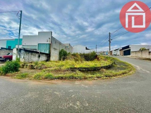 Terreno à venda, 383 m² por R$ 300.000,00 Jardim Vista Alegre Bragança Paulista/SP