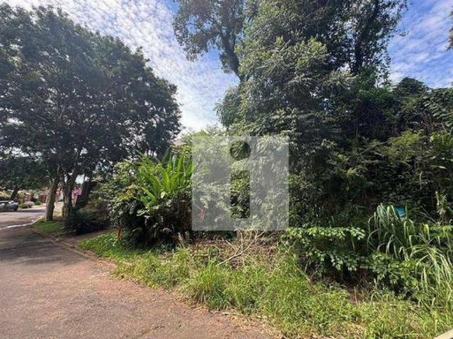 Terreno à venda, 397 m² por R$ 354.000,00 Jardim Sorirama Sousas Campinas/SP