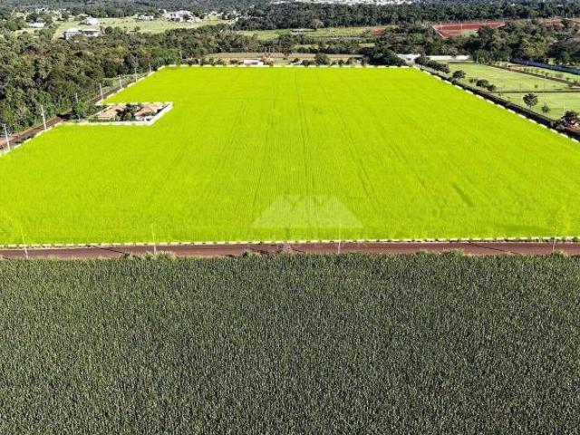 Terreno à venda, 39912 m² por R$ 13.969.200,00 Cognópolis Foz do Iguaçu/PR
